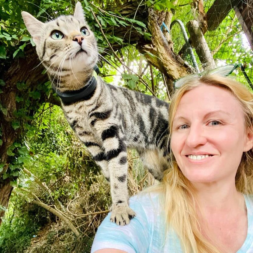 petTracer - GPS & Radio Tracker for cats