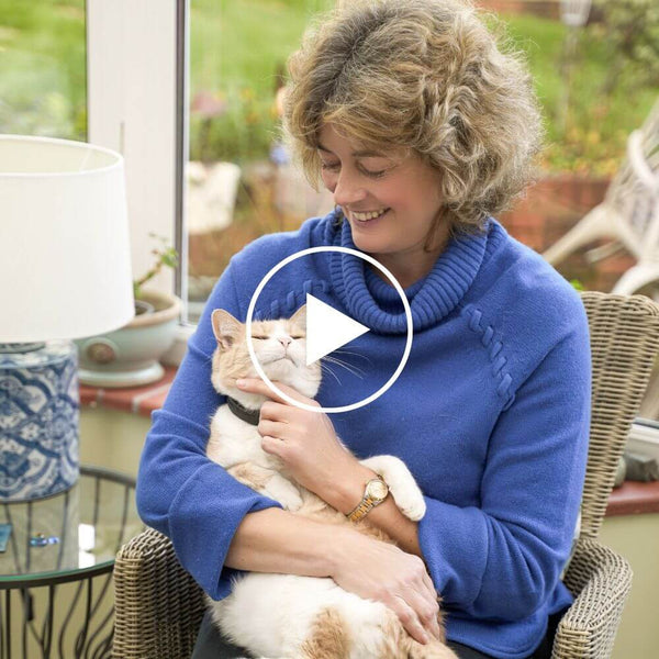 petTracer - GPS & Radio Tracker for cats