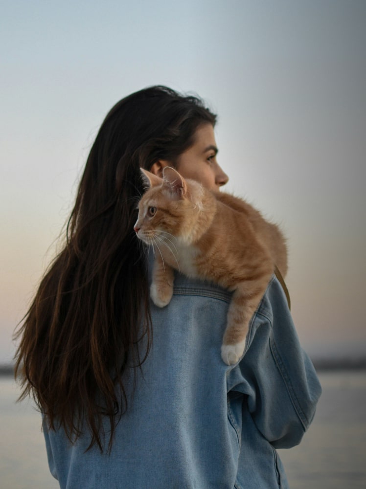 petTracer - GPS & Radio Tracker for cats